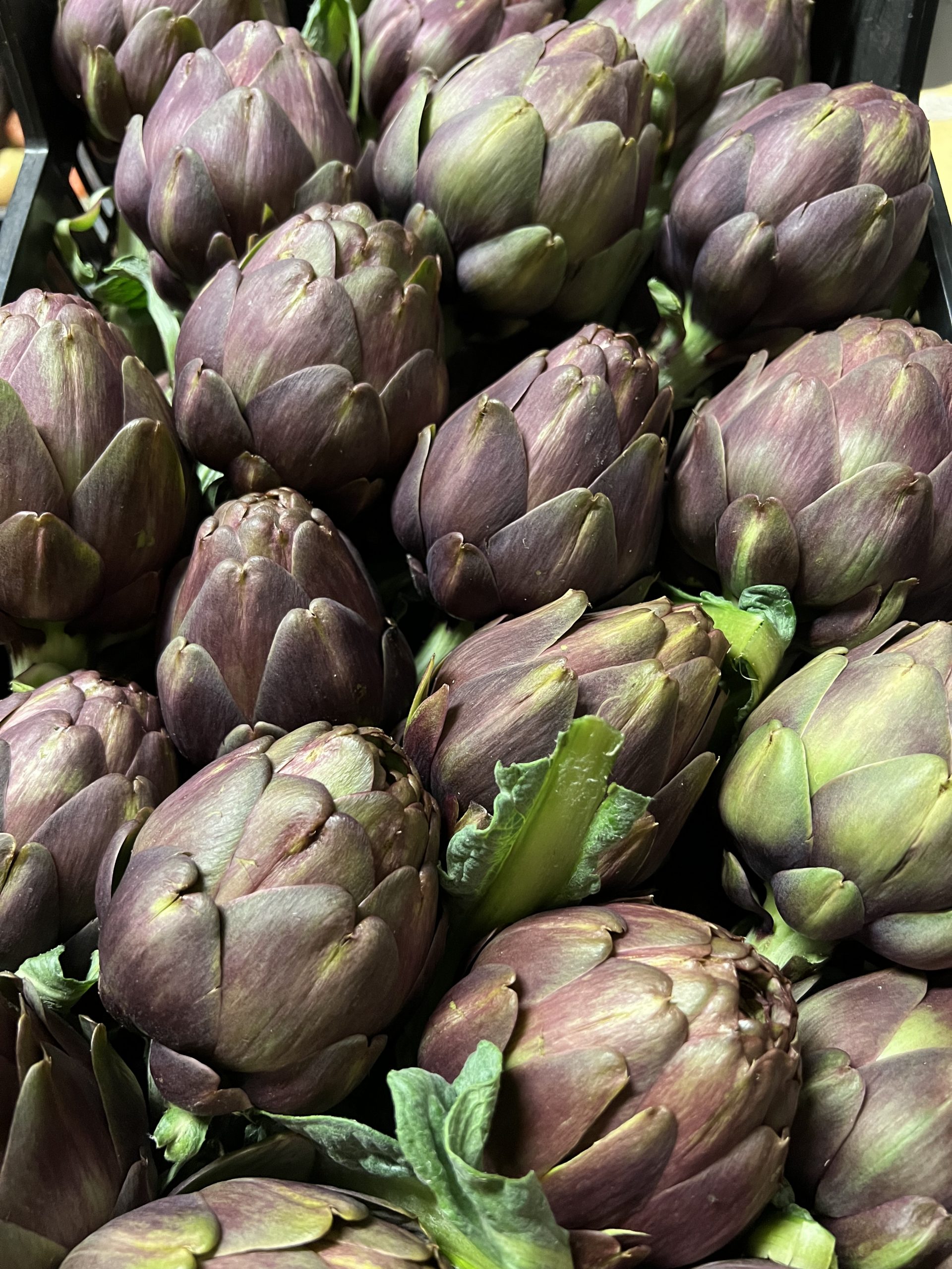 Alcachofa morada 1 kg | Verdures Gorrito